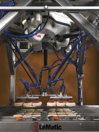 Custom Vision Guided Robotics - LeMatic